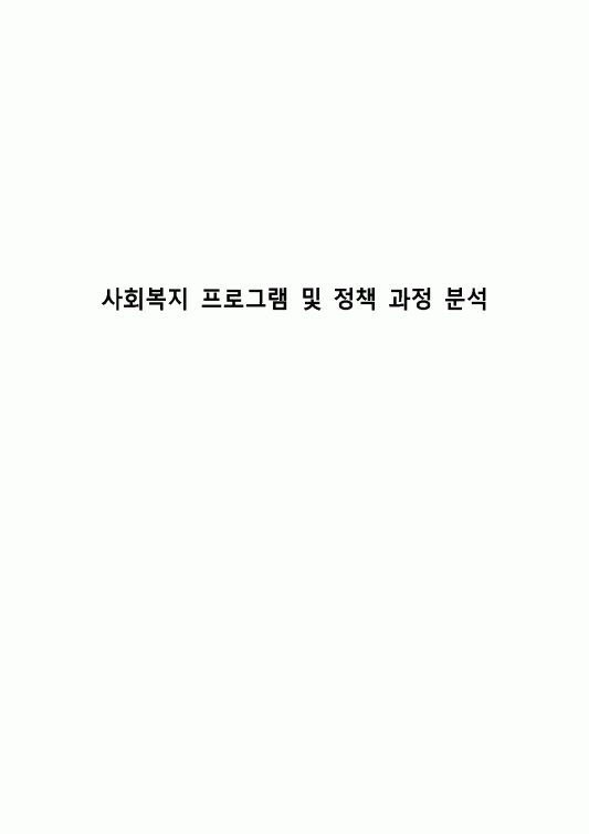 사회복지 프로그램 및 정책 과정 분석