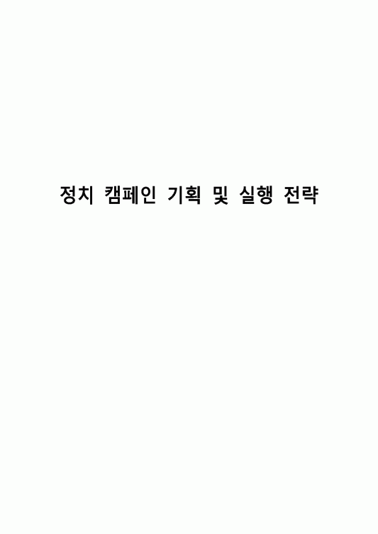 정치 캠페인 기획 및 실행 전략