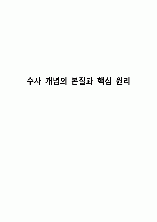 수사 개념의 본질과 핵심 원리