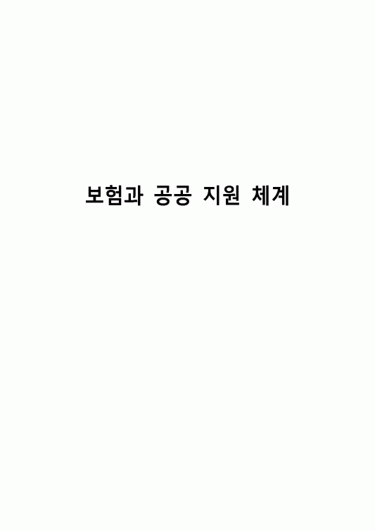 보험과 공공 지원 체계