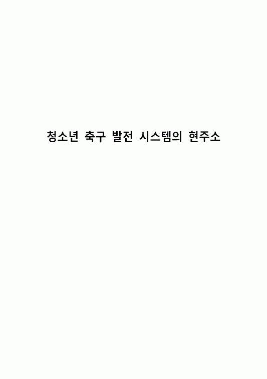 청소년 축구 발전 시스템의 현주소