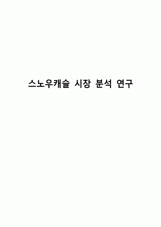 스노우캐슬 시장 분석 연구
