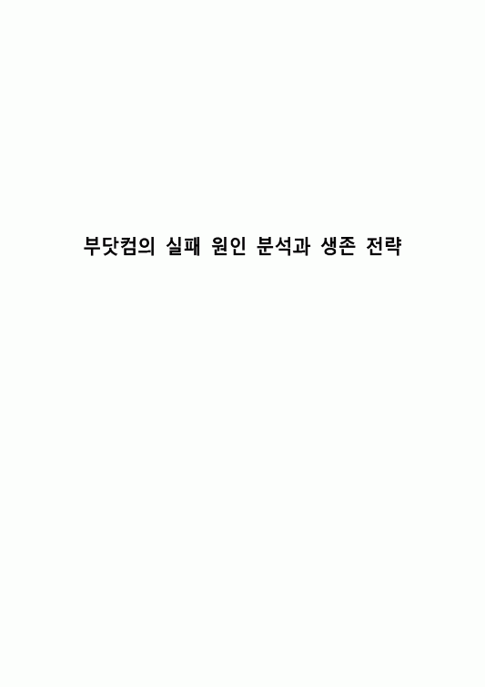 부닷컴의 실패 원인 분석과 생존 전략