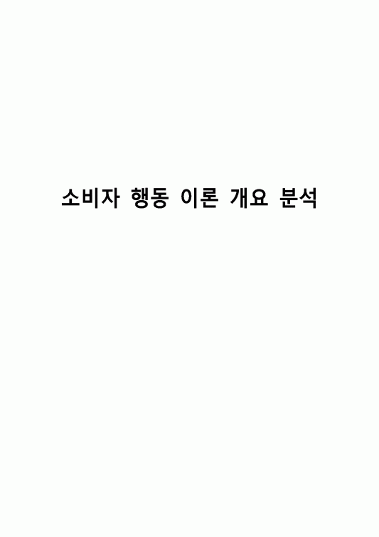소비자 행동 이론 개요 분석