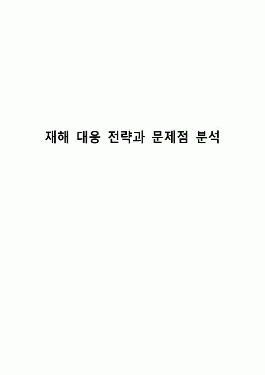 재해 대응 전략과 문제점 분석