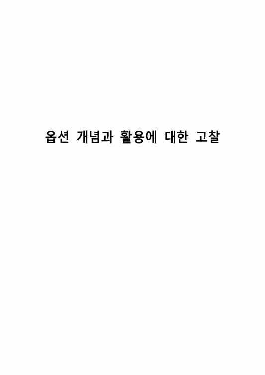 옵션 개념과 활용에 대한 고찰