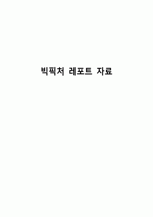 빅픽처 레포트 자료