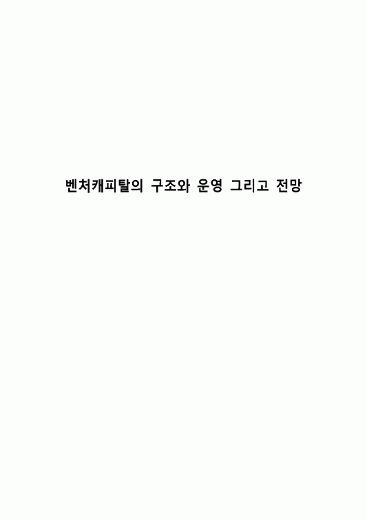 벤처캐피탈의 구조와 운영 그리고 전망