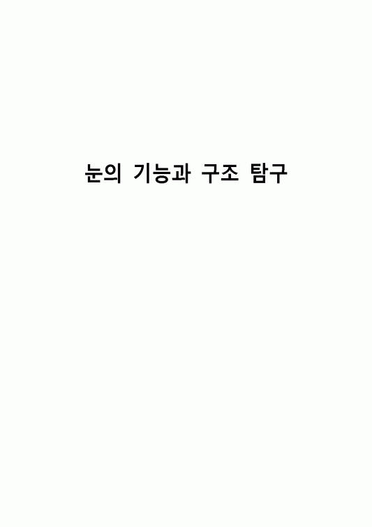 눈의 기능과 구조 탐구