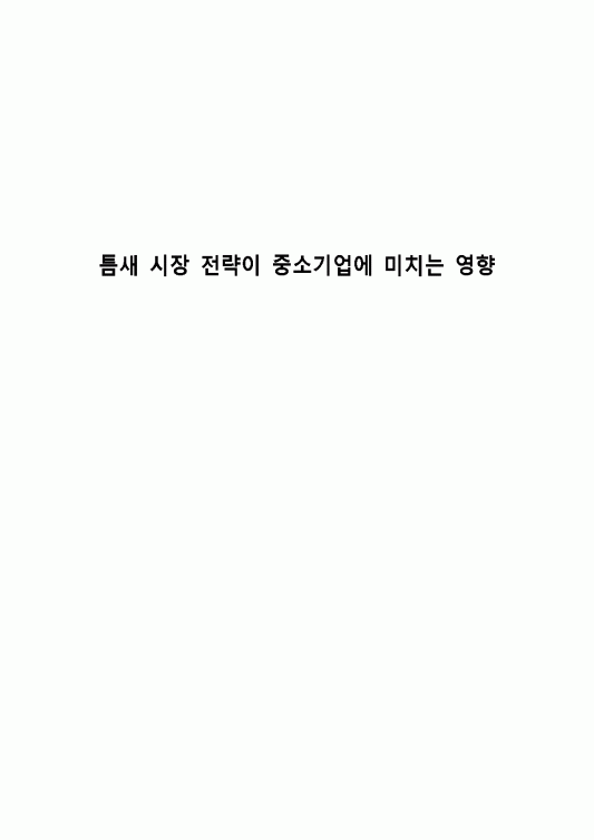 틈새 시장 전략이 중소기업에 미치는 영향
