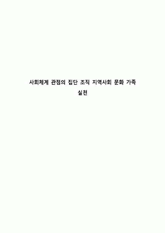 사회체계 관점의 집단 조직 지역사회 문화 가족 실천