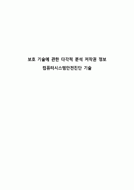 보호 기술에 관한 다각적 분석 저작권 정보 컴퓨터시스템안전진단 기술