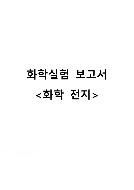 [화학실험] 화학 전지