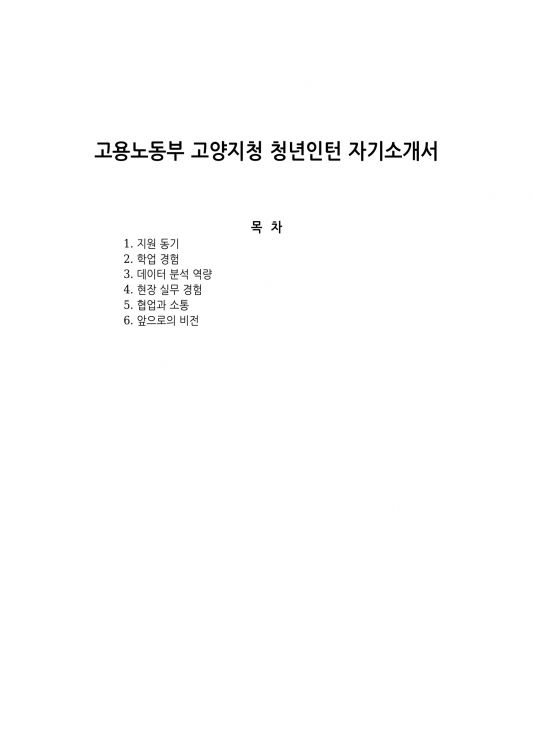 고용노동부 고양지청 청년인턴 자기소개서