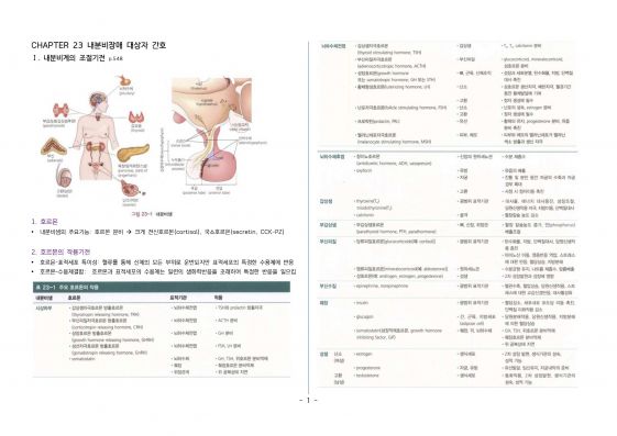 성인간호학_chapter 23 내분비대상자 간호 현문사 교재 정리