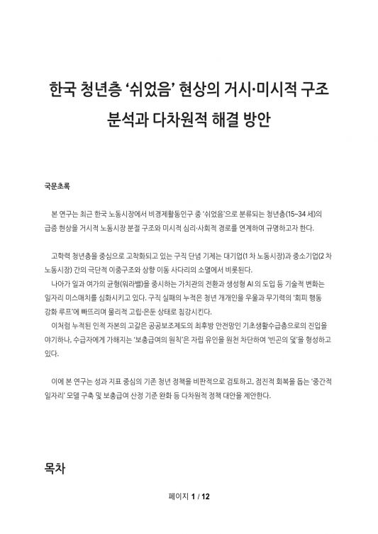 쉬었음 청년 심층 분석 및 대안