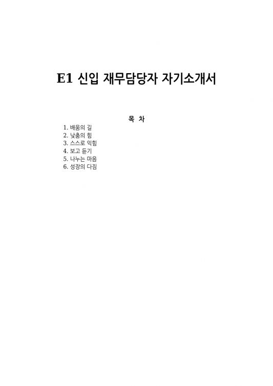E1 신입 재무담당자 자기소개서