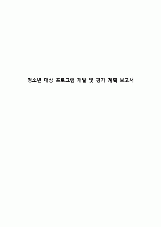 청소년 대상 프로그램 개발 및 평가 계획 보고서