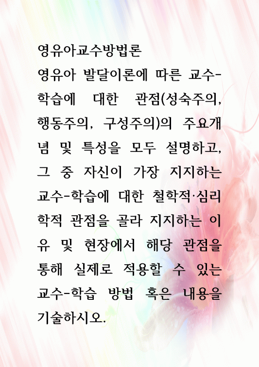 영유아 발달이론에 따른 교수학습에 대한 관점의 주요개념 및 특성을 모두 설명하고