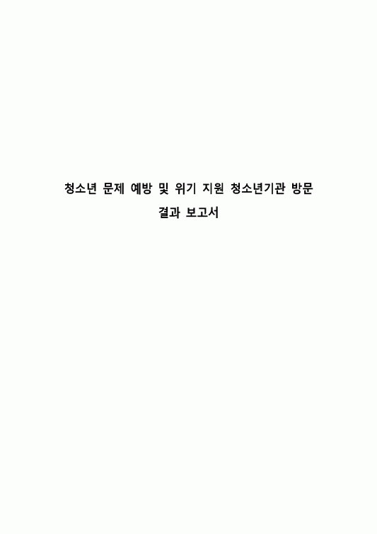 청소년 문제 예방 및 위기 지원 청소년기관 방문 결과 보고서