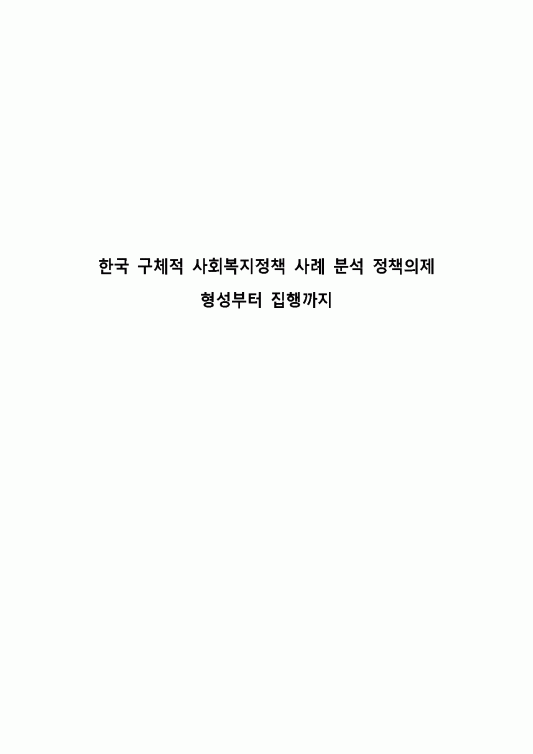 한국 구체적 사회복지정책 사례 분석 정책의제 형성부터 집행까지