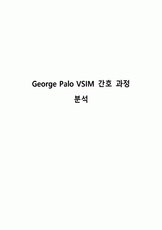 George Palo VSIM 간호 과정 분석