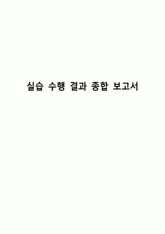 실습 수행 결과 종합 보고서