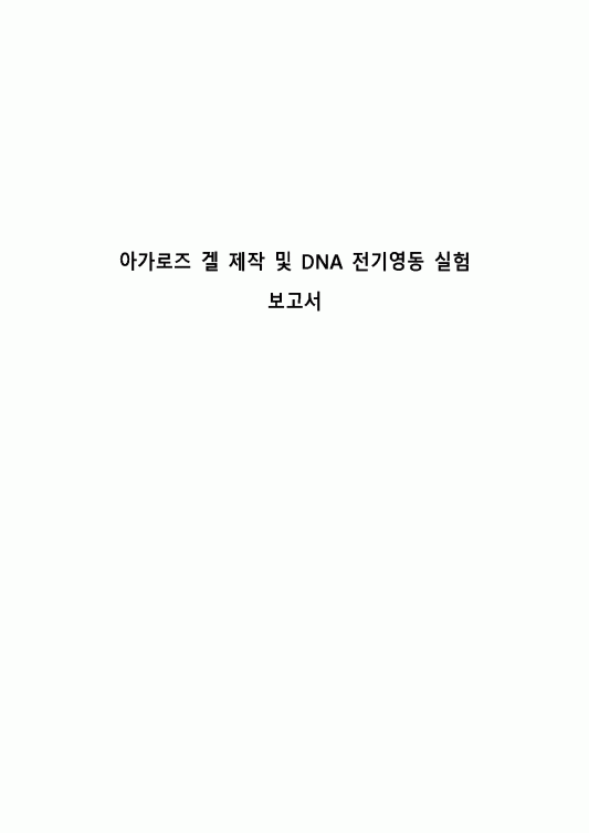 아가로즈 겔 제작 및 DNA 전기영동 실험 보고서