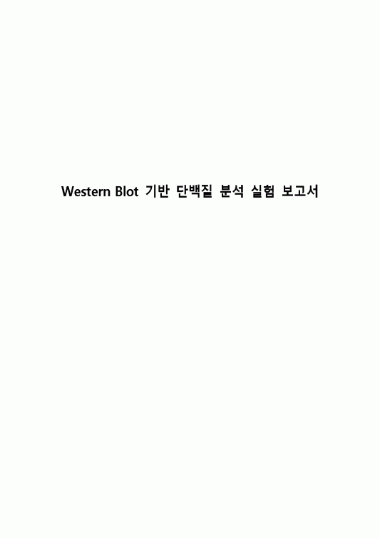 Western Blot 기반 단백질 분석 실험 보고서
