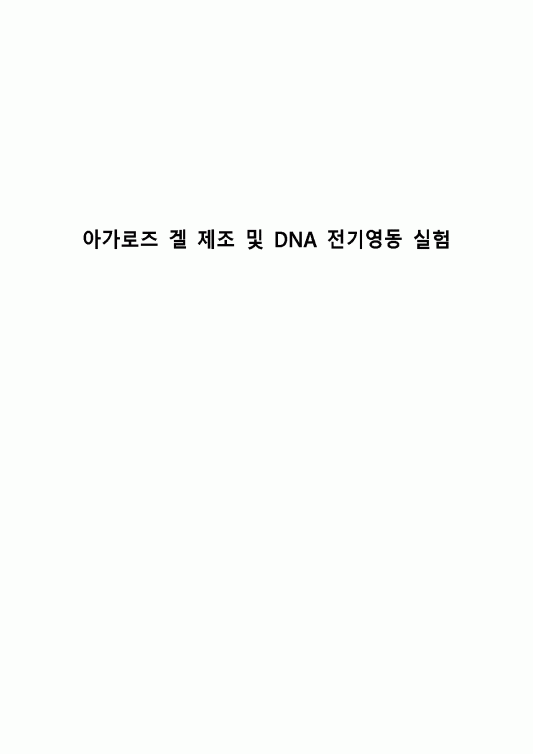 아가로즈 겔 제조 및 DNA 전기영동 실험