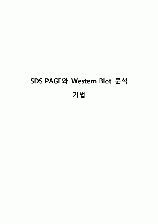 SDS PAGE와 Western Blot 분석 기법