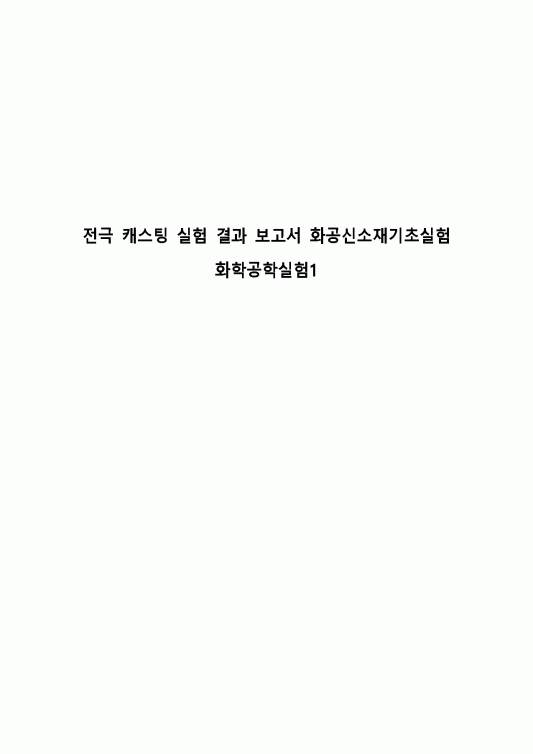 전극 캐스팅 실험 결과 보고서 화공신소재기초실험 화학공학실험1