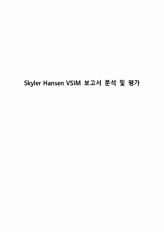 Skyler Hansen VSIM 보고서 분석 및 평가