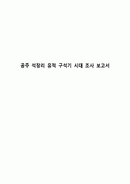 공주 석장리 유적 구석기 시대 조사 보고서