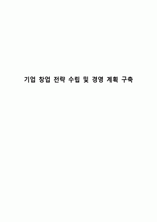 기업 창업 전략 수립 및 경영 계획 구축
