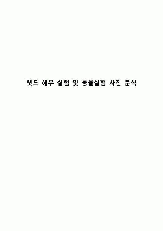 랫드 해부 실험 및 동물실험 사진 분석