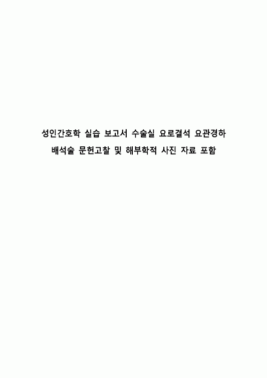 성인간호학 실습 보고서 수술실 요로결석 요관경하 배석술 문헌고찰 및 해부학적 사진 자료 포함