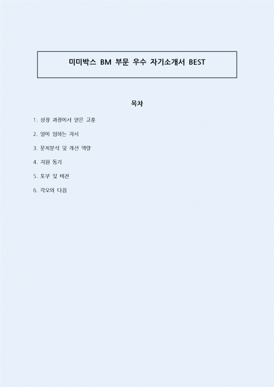 미미박스 BM 부문 우수 자기소개서 BEST