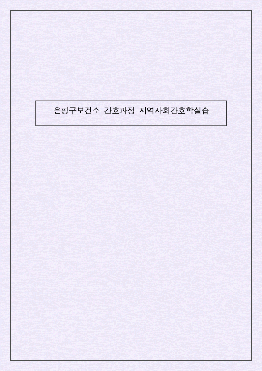 은평구보건소 간호과정 지역사회간호학실습