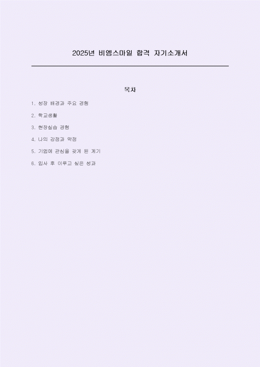 2025년 비엠스마일 합격 자기소개서