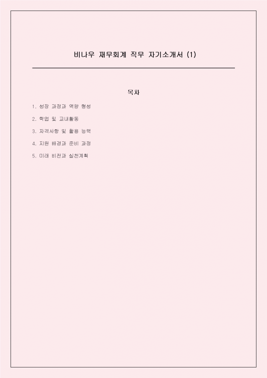 비나우 재무회계 직무 자기소개서 (1)