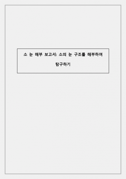 소 눈 해부 보고서: 소의 눈 구조를 해부하여 탐구하기