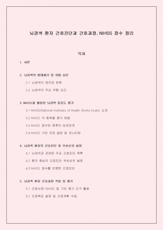 뇌경색 환자 간호진단과 간호과정, NIHSS 점수 정리