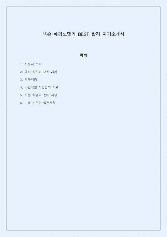 넥슨 배경모델러 BEST 합격 자기소개서