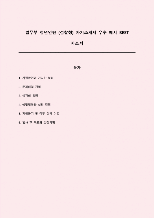 법무부 청년인턴 (검찰청) 자기소개서 우수 예시 BEST 자소서