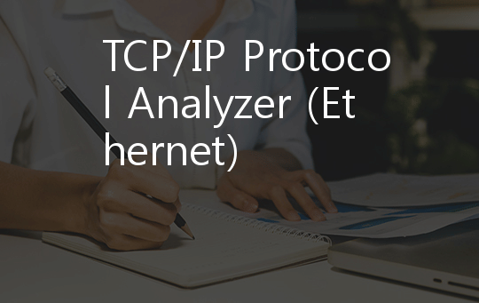 TCP/IP Protocol Analyzer (Ethernet)