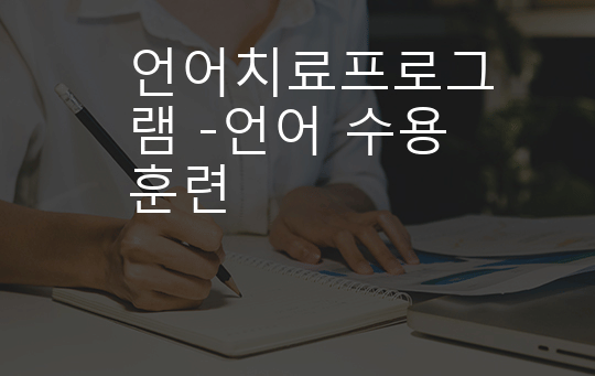 언어치료프로그램 -언어 수용 훈련